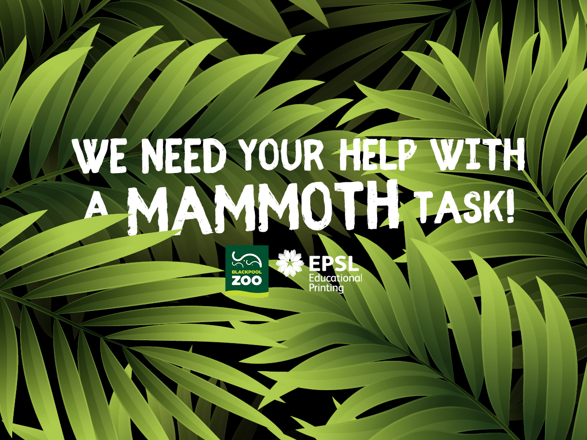 We need your help with a MAMMOTH task – Project Elephant | Blackpool Zoo