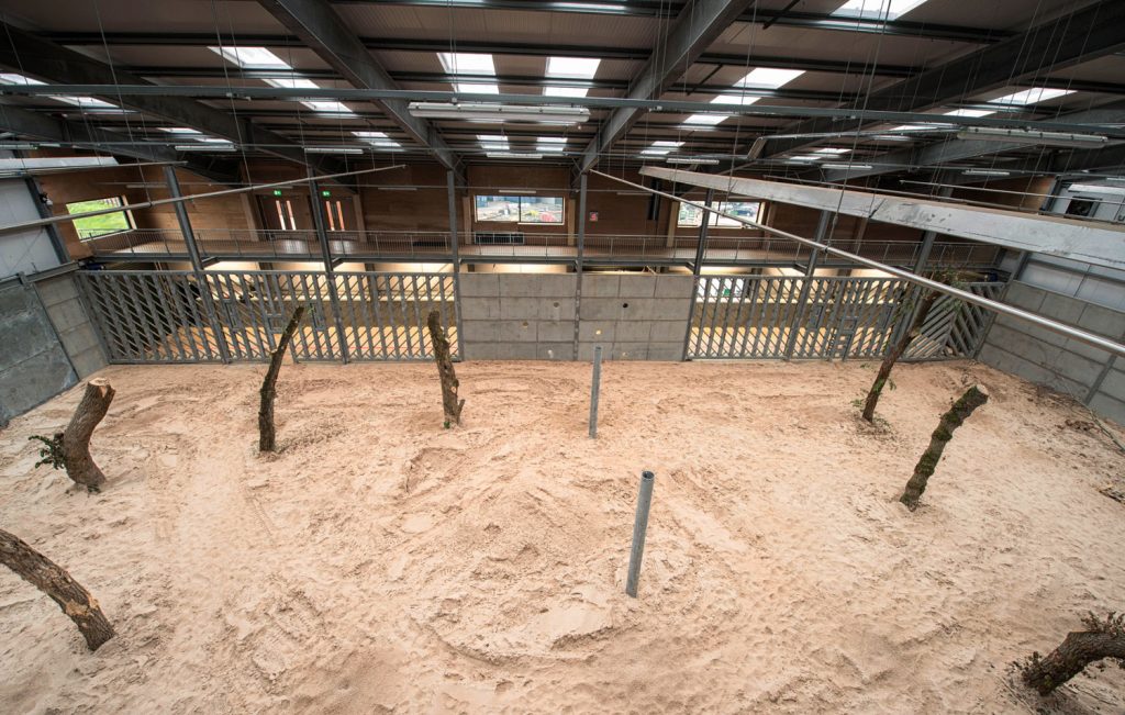 Base Camp – Project Elephant | Blackpool Zoo