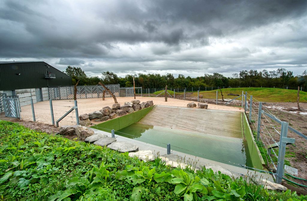 Base Camp – Project Elephant | Blackpool Zoo