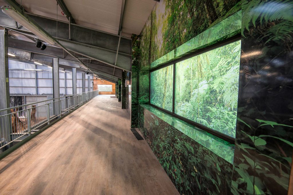 Visitor Experience – Project Elephant | Blackpool Zoo